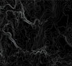 Custom Topo Map Vinyl Wrap Sheets | Topographic Design | SCS Wraps