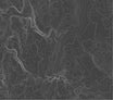 Custom Topo Map Vinyl Wrap Sheets | Topographic Design | SCS Wraps