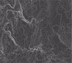 Custom Topo Map Vinyl Wrap Sheets | Topographic Design | SCS Wraps